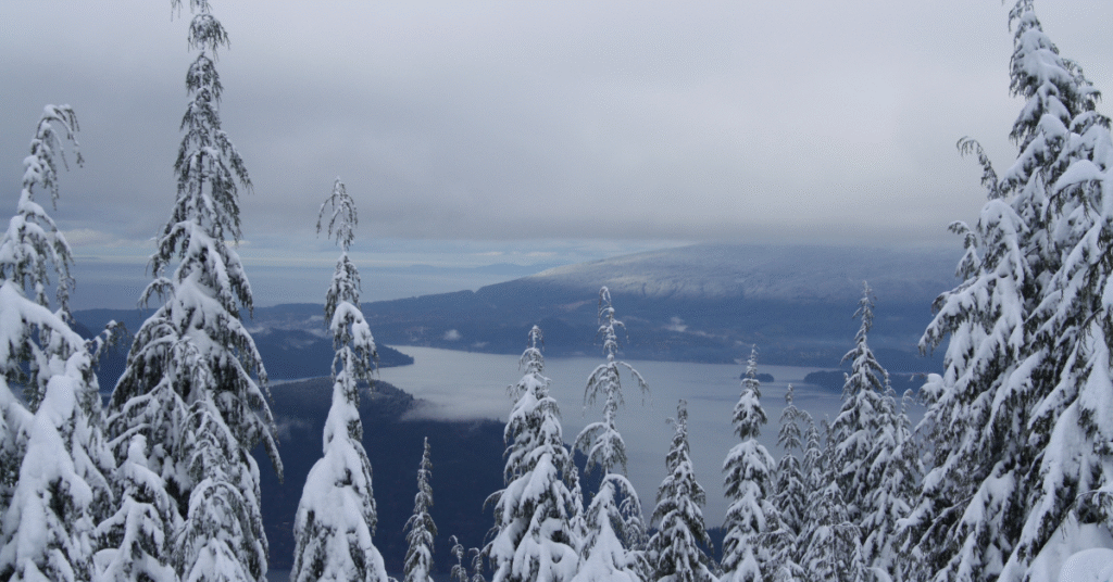 How to Recognize the Signs of Perfectionism at Work - Astrologer Daddy